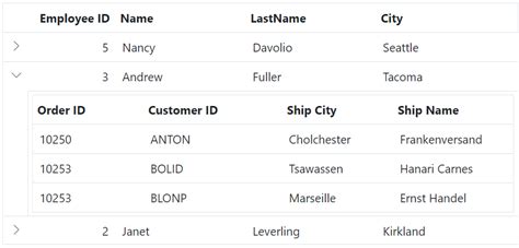 Hierarchy Grid In Syncfusion ASP NET MVC Grid Component
