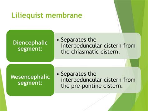 Basal Cisterns Finalppt Basal Cisterns Finalppt