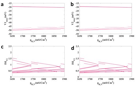 The Bifurcation Diagrams Of The Chemical Coupling Of Two Chay Neurons Download Scientific