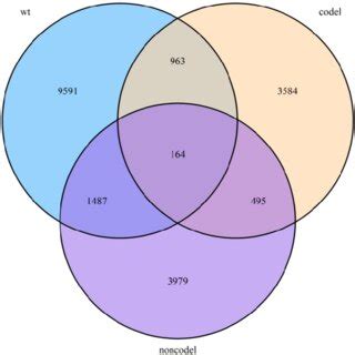 Overlapping Condition Of The Three Gene Sets Identified By Univariate Download Scientific
