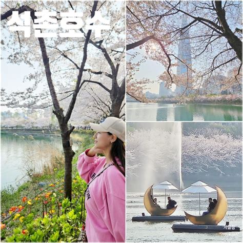 잠실 데이트코스 석촌호수 벚꽃 아래 문보트 축제는 끝나고 네이버 블로그