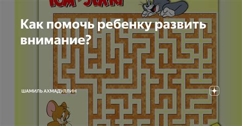 Как помочь ребенку развить внимание Шамиль Ахмадуллин Дзен
