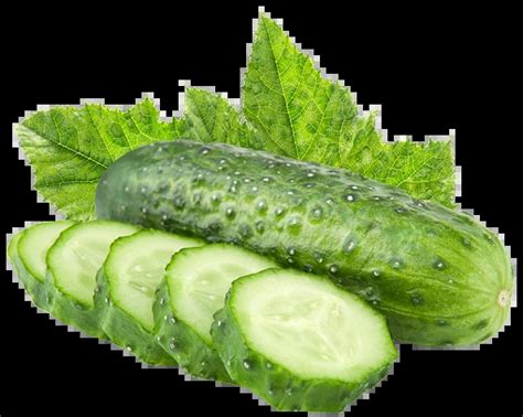Cucumber Seeds Ebay