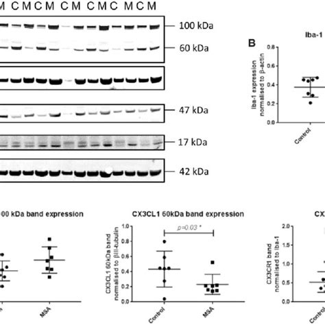 Cytokine Expression Statistical Analysis Of Cytokine Array Data From A Download Scientific