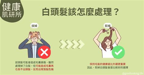 白頭髮 4 大成因你中招了嗎？白頭髮該這樣處理！ 閒聊板 Dcard