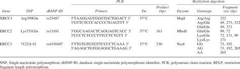 Methodology For Pcrrflp Analysis Download Table
