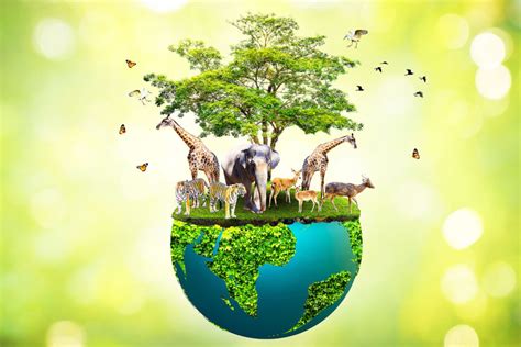 Threatened Species Definition