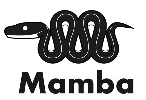 Mamba Vs Conda Unleashing Lightning Fast Python Package Installations