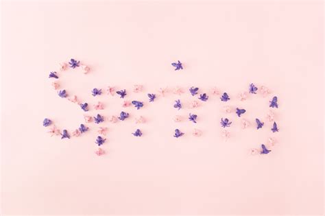 밝은 분홍색 배경에 히아신스 꽃잎의 분홍색과 보라색 꽃잎으로 만든 단어 봄 최소한의 스프링 컨셉 플랫 레이 0명에 대한 스톡