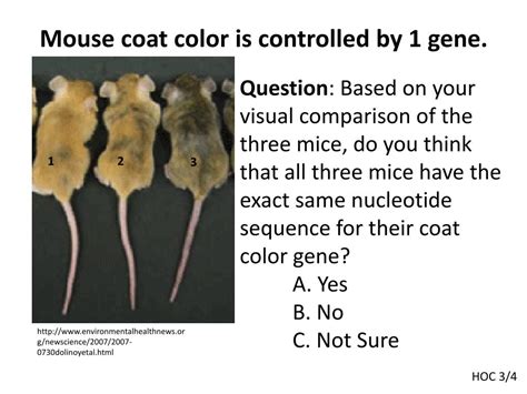 Ppt Group 5 Gene Expression Ii Powerpoint Presentation Free