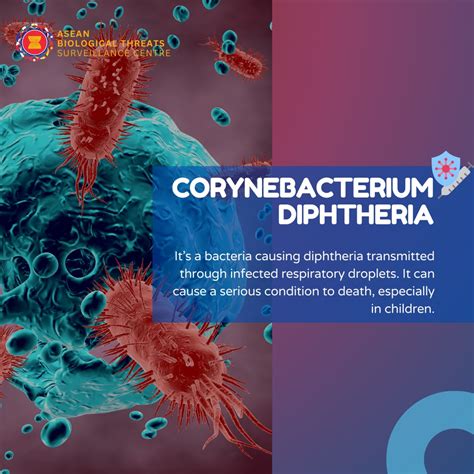 Asean 🔬 What Causes Diphtheria It All Starts With A Bacterium Corynebacterium Diphtheriae