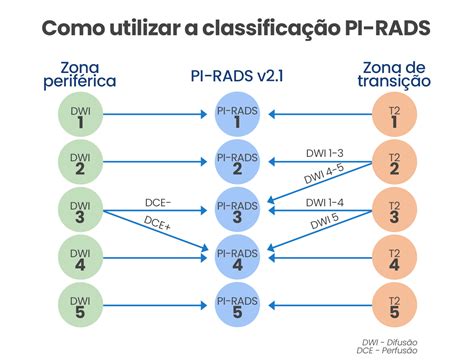 Pi Rads Como Usar Classificação Para Câncer De Próstata Educa Cetrus