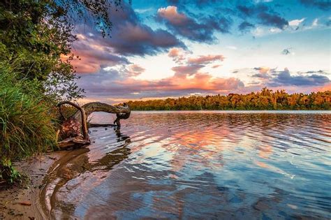 一文学会梯度下降算法及其变体 知乎