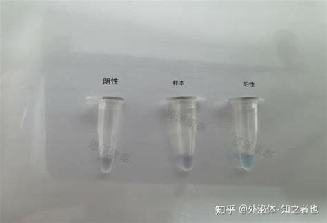 一套完整的外泌体质量控制体系，请收好！ 知乎