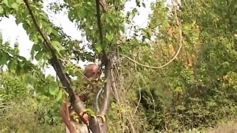 Gratis Vere Casalinghe Italia Amatoriale Fatto In Casa Video Porno Sesso Hot Xhamster