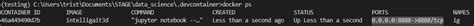 Python Cant Access Jupyter Notebook Inside Docker Container Stack