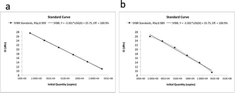 Q Pcr Assay Standard Curve Established Between Log Of Dna