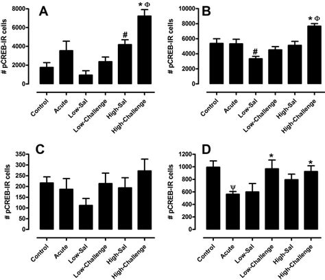 Pcreb Expression In Discrete Nuclei These Histograms Depict The Download Scientific Diagram
