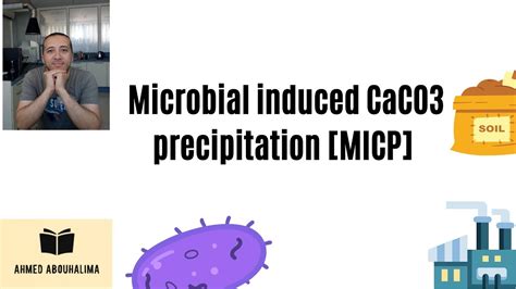 Microbial Induced Caco3 Precipitation الحث البكتيري لترسيب املاح الكربونات Youtube