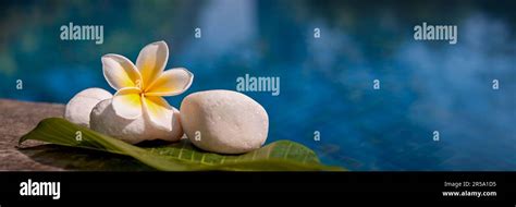 Plumeria Frangipani Tropical Flower And Zen White Stones Blue