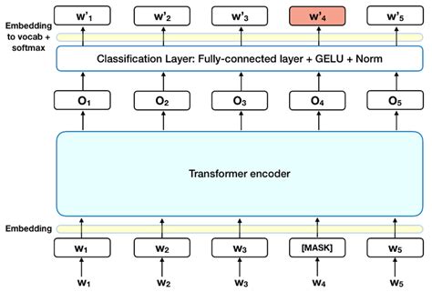 Transformer What Does The Outputlayer Of Bert For Masked Language Modelling Look Like