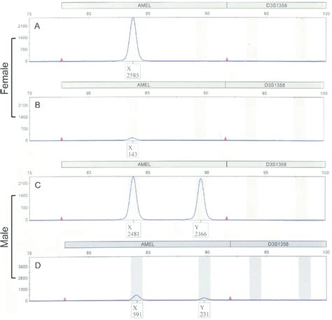 Sex Determination By PowerPlex ESX17 Fast Using UV Irradiated Download Scientific Diagram