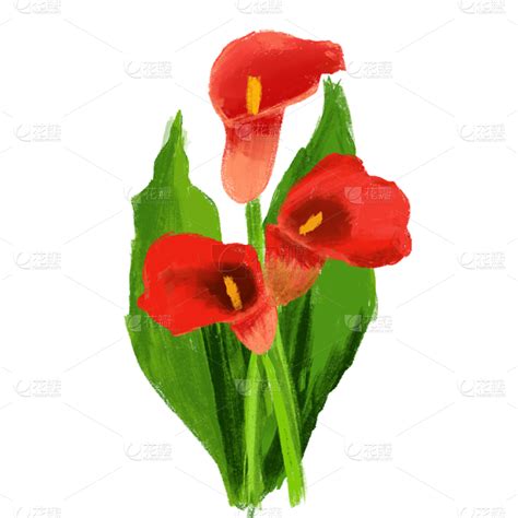 手绘 油画棒花卉植物元素贴纸9