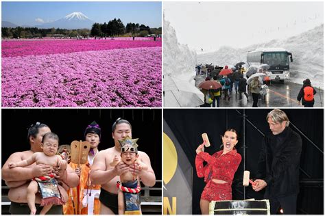 Интересные снимки из Японии Dymontiger — Livejournal