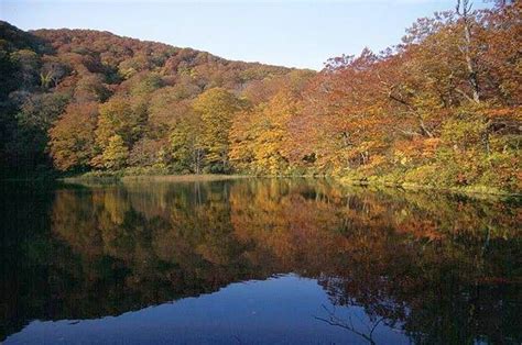 さい沼スポット体験公式青森県観光情報サイト Amazing AOMORI