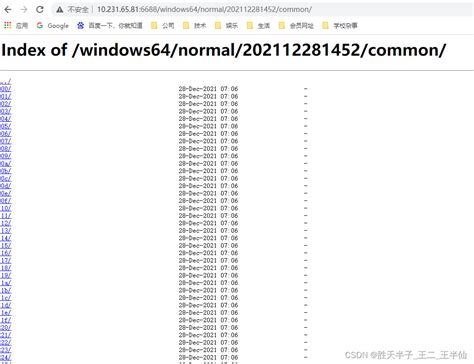 windows nginx目录映射 windwos nginx映射本地文件路径 csdn博客