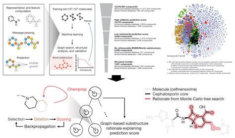 Nature 可解释的深度学习模型帮助发现新结构类型的抗生素 Py学习