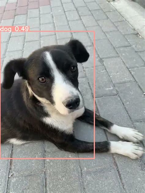 Running Yolo V5 Detectpy With Jetson Xavier And Zed Camera Youtube