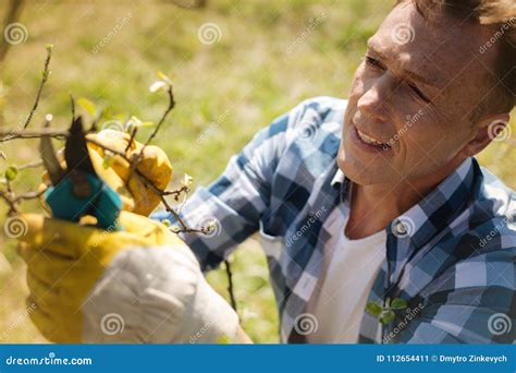 Concentrated Adult Man Pruning A Tree Stock Image Image Of Farming Activity