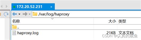 Linux安装haproxy完整教程 Csdn博客 Linux安装haproxy完整教程 Csdn博客