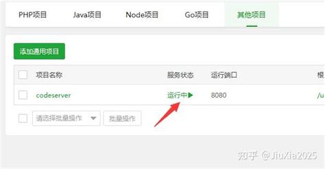 宝塔环境下code Server的搭建小记 知乎 宝塔环境下code Server的搭建小记 知乎