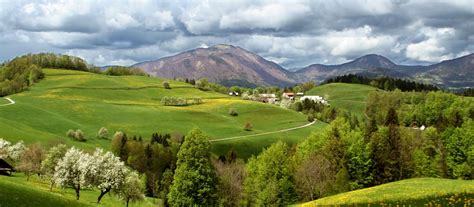 Ljubica Kmetija Slovensko Podeželje Združenje Turističnih Kmetij Slovenije
