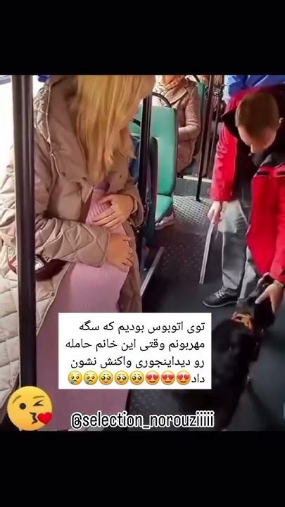 زیباترین مهربانی حیوان بی زبان Youtube