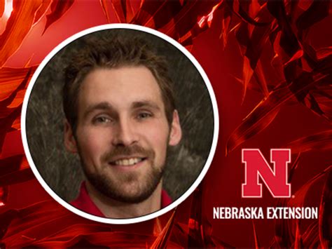 Corn Insect Pests Cropwatch Nebraska