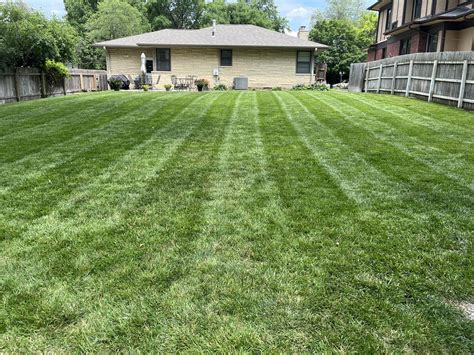 Kick Grass Lawns I Just Registered For The Gieexpo Being Held