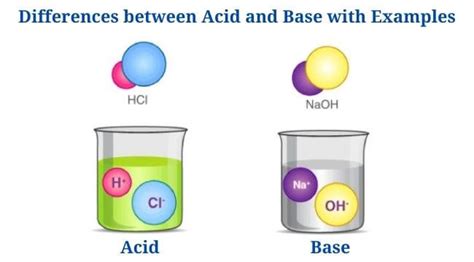 Differences Between Acid And Base With Examples PhD Nest