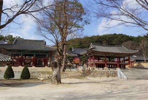 여주 출신 연예인 프로필 모음 아이돌 가수 배우 여배우 남배우 여자 배우 남자 배우 남자 연예인 여자 연예인 여가수 남가수 야구선수 축구선수 개그맨