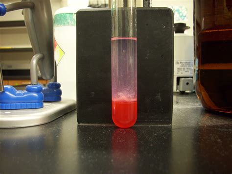 Dna Extraction Protocol From Strawberries