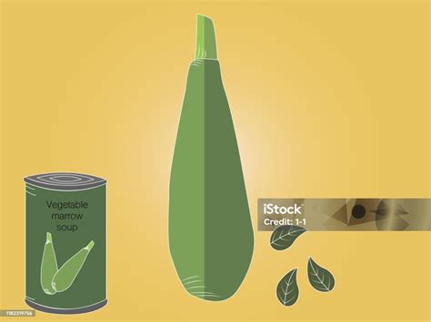 유기 천연 야채의 야채 골수 스케치 다채로운 벡터 일러스트는 홍보 광고 텍스트와 함께 사용할 수 있습니다 농업 테마 농산물 시장 및 라벨 디자인에 대한 건강한 생활방식에