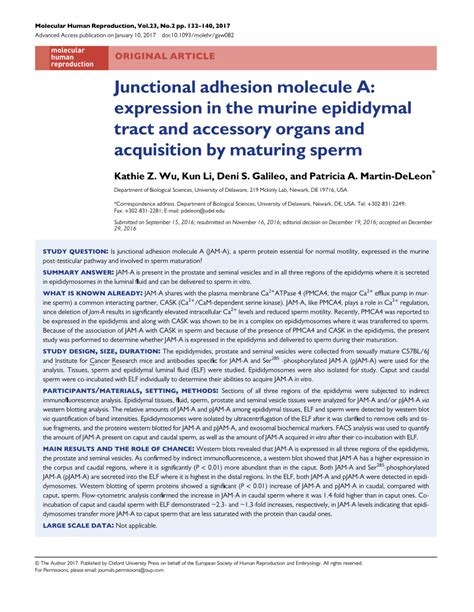 Pdf Junctional Adhesion Molecule A Expression In The Murine