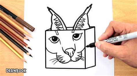 How To Draw Floppa Big Floppa Roblox Drawbook