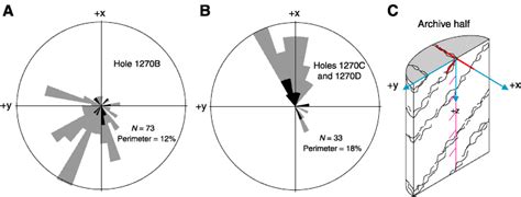 Figure F116 Rose Diagram Of Paleomagnetic Declinations From Discrete Samples Black And Long