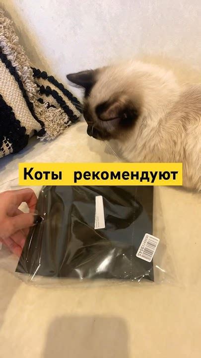 Игрушка для котов, озон арт. 1292485099 смешнойкот #cat #котик - YouTube