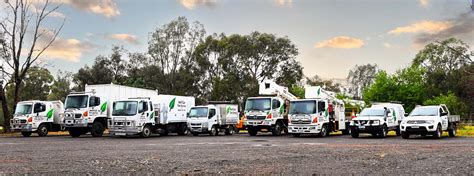 North East Tree Services Tree Arborist For Tree Felling And Maintenance Benalla Surrounding