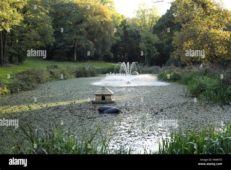 Chewton Glen Hi Res Stock Photography And Images Alamy