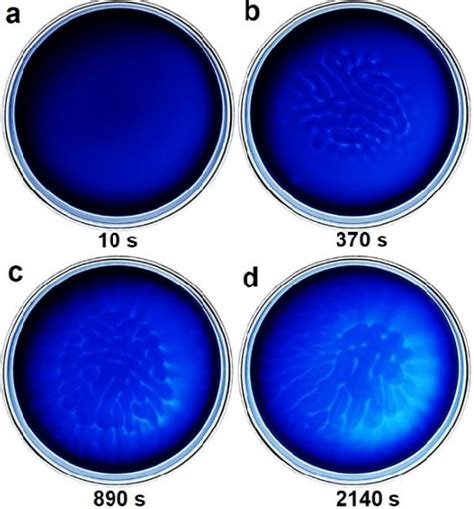 Evolution Of Spatiotemporal Patterns In The H 2 O 2 I Reaction Download Scientific Diagram